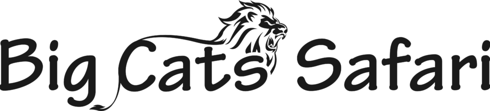 The Wildbeest (Gnu) - Habitat, Diet, Social Structure & Facts